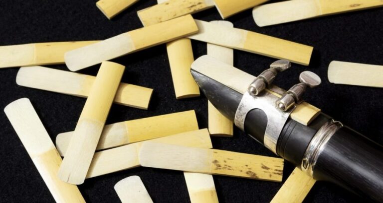 The complete guide to saxophone and clarinet reeds - Odisei Music